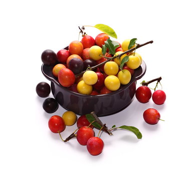 Ringlov Images – Browse 34 Stock Photos, Vectors, and Video | Adobe Stock