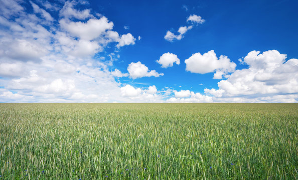 「Pasturas」の画像 - 64 件の Stock 写真、ベクターおよびビデオ | Adobe Stock
