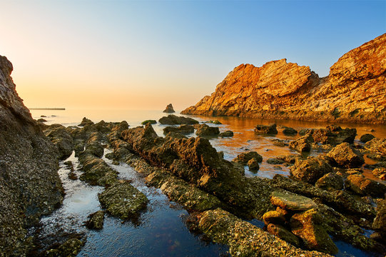 Talien-Bilder: Stock-Fotos & -Videos. | Adobe Stock