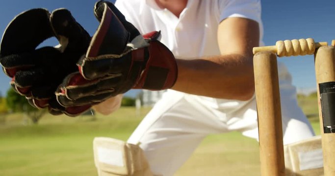 Wicket-Keeper Images – Browse 4,049 Stock Photos, Vectors, and Video ...
