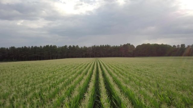 Agrar Video Footage – Browse 2,206 HD Stock Video and Footage | Adobe Stock