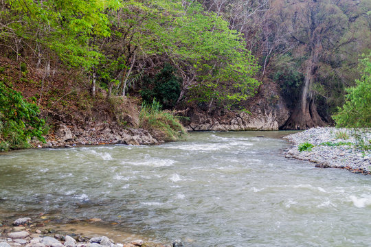 Ahuehuete Bilder – Durchsuchen 239 Archivfotos, Vektorgrafiken und ...