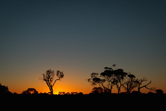 Murraylands Images – Browse 69 Stock Photos, Vectors, and Video | Adobe ...