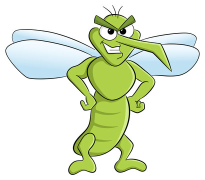 รูปภาพMoskito – เลือกดูภาพถ่ายสต็อก เวกเตอร์ และวิดีโอ2,809 | Adobe Stock