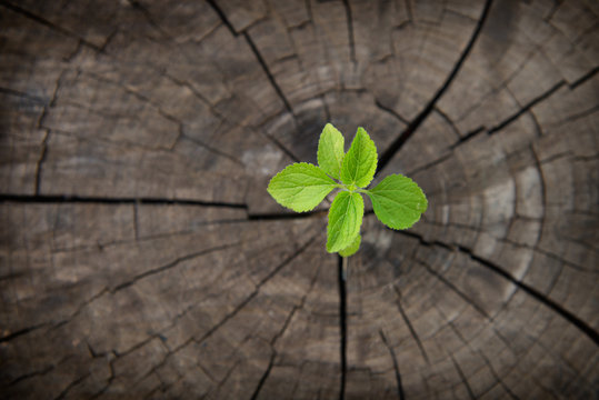 Restart Images – Browse 64,280 Stock Photos, Vectors, and Video | Adobe ...