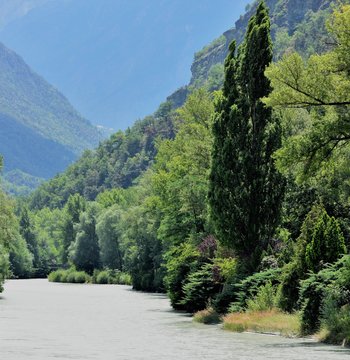 Vispa Bilder – Durchsuchen 62 Archivfotos, Vektorgrafiken und Videos ...