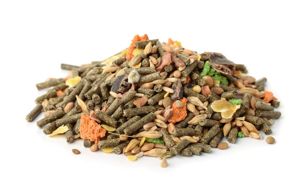 10,921 BESTE Hasenfutter BILDER, STOCK-FOTOS & -VEKTORGRAFIKEN | Adobe ...