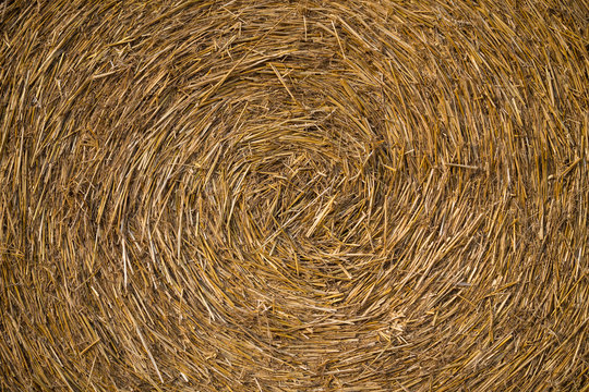 Hay Texture Images – Browse 48,991 Stock Photos, Vectors, and Video ...