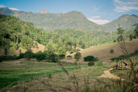 Norks Images – Browse 52 Stock Photos, Vectors, and Video | Adobe Stock