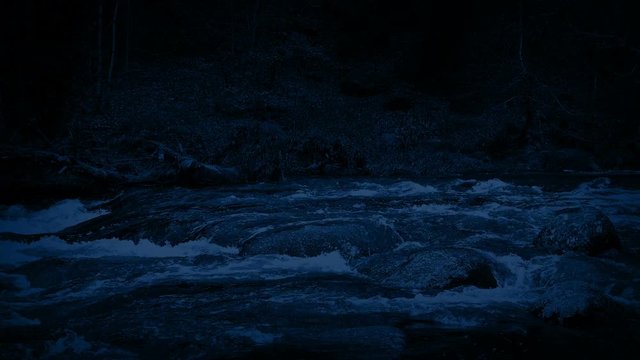 Forest River Night Images – Browse 165,070 Stock Photos, Vectors, and ...