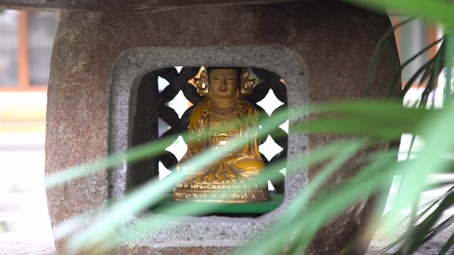 Amita Images – Browse 35 Stock Photos, Vectors, and Video | Adobe Stock