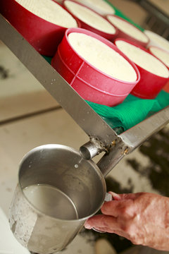รูปภาพCheese-Maker – เลือกดูภาพถ่ายสต็อก เวกเตอร์ และวิดีโอ1,021 ...