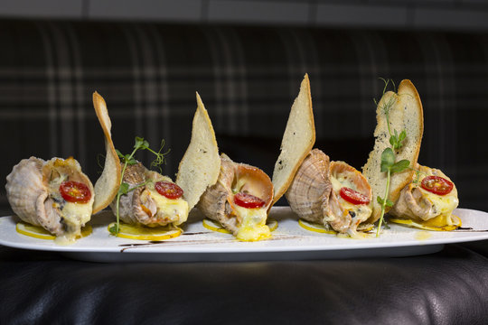 Rapane Images – Browse 29 Stock Photos, Vectors, and Video | Adobe Stock