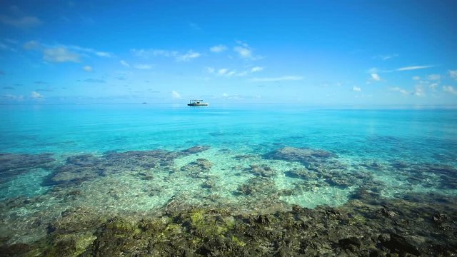 Lagon Images – Browse 19,002 Stock Photos, Vectors, and Video | Adobe Stock