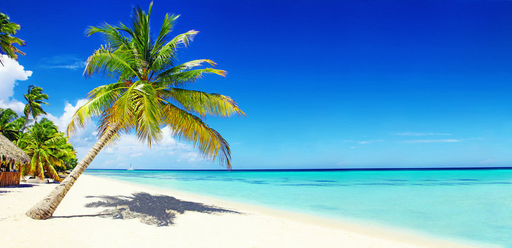 Imágenes de Paradies Strand: descubre bancos de fotos, ilustraciones ...