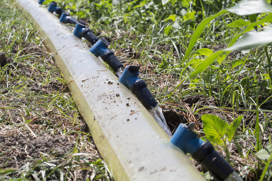 42 BEST Emmek IMAGES, STOCK PHOTOS & VECTORS | Adobe Stock