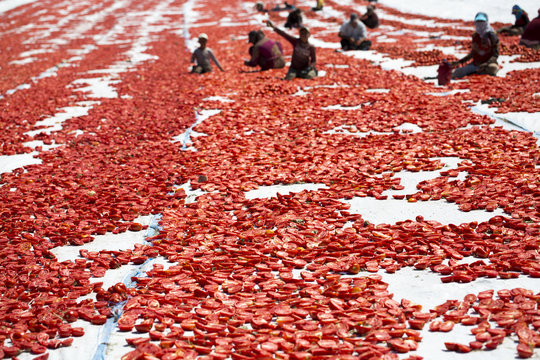 Plantasyon-Bilder: Stock-Fotos & -Videos. | Adobe Stock