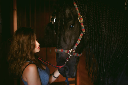 Frizian Images – Browse 50 Stock Photos, Vectors, and Video | Adobe Stock