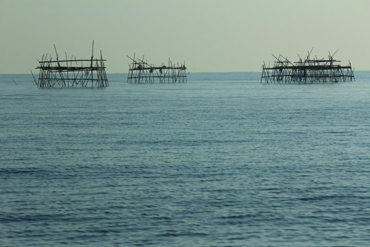 Rumpon Images – Browse 127 Stock Photos, Vectors, and Video | Adobe Stock