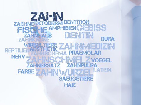 Wurzelzement Images – Browse 4 Stock Photos, Vectors, and Video | Adobe ...