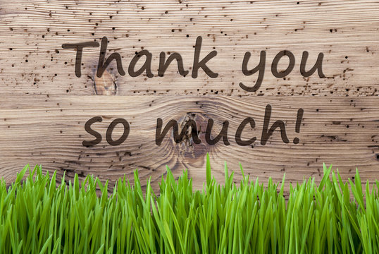 476 BEST Thank You So Much IMAGES, STOCK PHOTOS & VECTORS | Adobe Stock