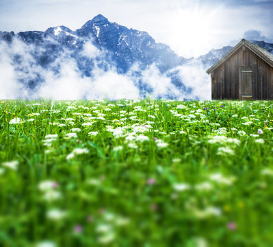 รูปภาพAlpenmilch – เลือกดูภาพถ่ายสต็อก เวกเตอร์ และวิดีโอ297 | Adobe Stock