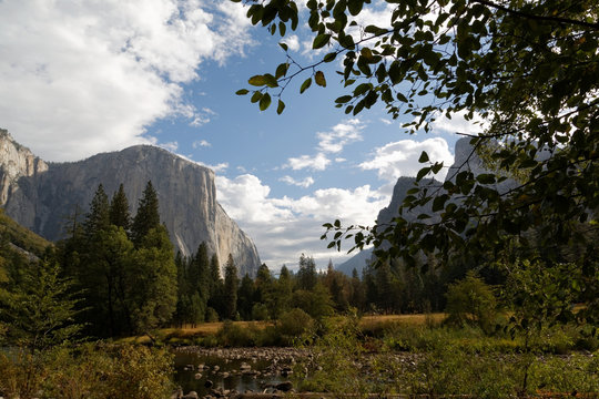 รูปภาพTrogtal – เลือกดูภาพถ่ายสต็อก เวกเตอร์ และวิดีโอ93 | Adobe Stock