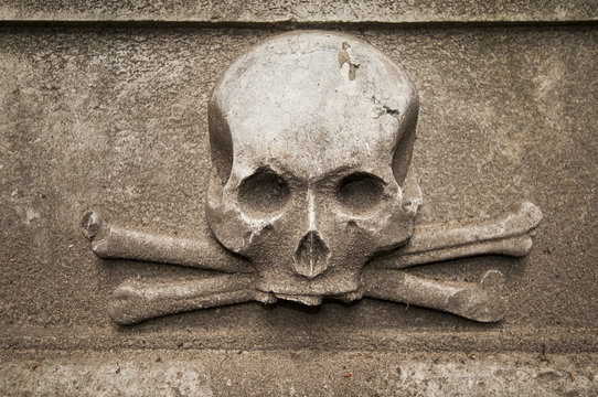 Imagens de Scull – Explore Fotografias do Stock, Vetores e Vídeos de ...