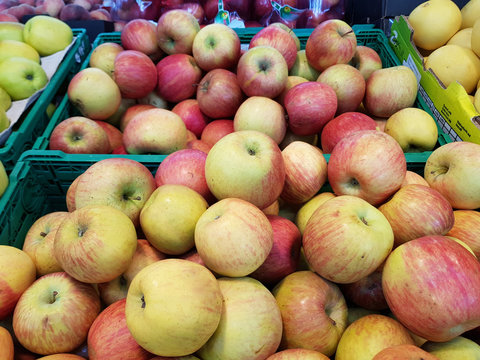 "Mela Images – Parcourir 17,187 le catalogue de photos, vecteurs et ...