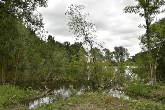 Ruisselet Images – Browse 46 Stock Photos, Vectors, and Video | Adobe Stock