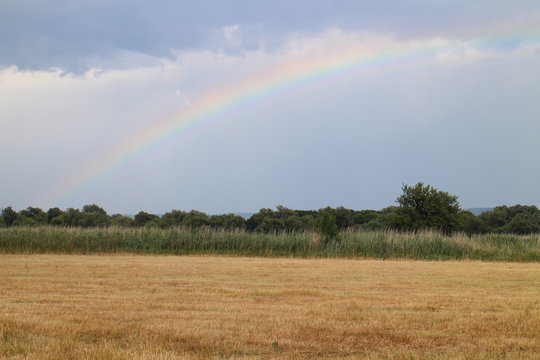 รูปภาพSunbow – เลือกดูภาพถ่ายสต็อก เวกเตอร์ และวิดีโอ414 | Adobe Stock