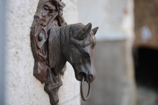 รูปภาพRing-Barking – เลือกดูภาพถ่ายสต็อก เวกเตอร์ และวิดีโอ6,078 ...