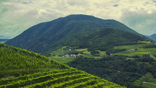 Trins Images – Browse 33 Stock Photos, Vectors, and Video | Adobe Stock