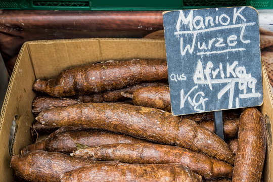 Maniok Billeder – Gennemse 23,259 stockfotos, vektorer og videoer ...