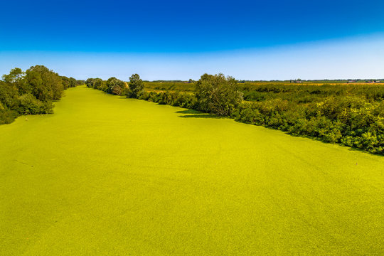 Algenteppich Bilder – Durchsuchen 542 Archivfotos, Vektorgrafiken und ...