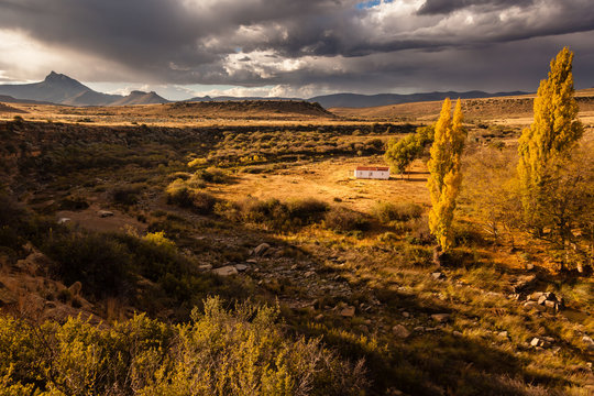 Karoo Landscape