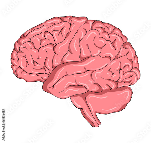"Brain cartoon vector symbol icon design. Beautiful illustration ...
