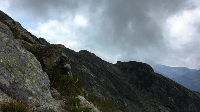 รูปภาพMucrone – เลือกดูภาพถ่ายสต็อก เวกเตอร์ และวิดีโอ96 | Adobe Stock