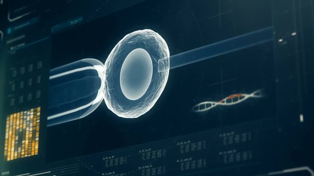 รูปภาพCloning – เลือกดูภาพถ่ายสต็อก เวกเตอร์ และวิดีโอ37,607 | Adobe Stock