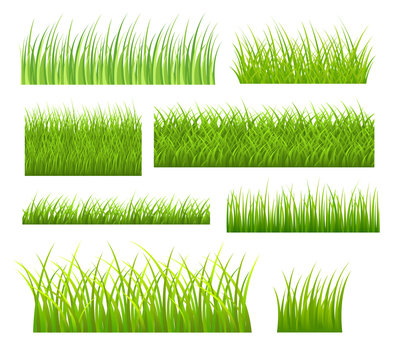 รูปภาพGrassline – เลือกดูภาพถ่ายสต็อก เวกเตอร์ และวิดีโอ174 | Adobe Stock