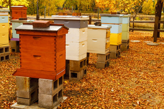 Beehive Images – Browse 148,151 Stock Photos, Vectors, and Video ...