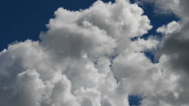 Ofay Images – Browse 53 Stock Photos, Vectors, and Video | Adobe Stock