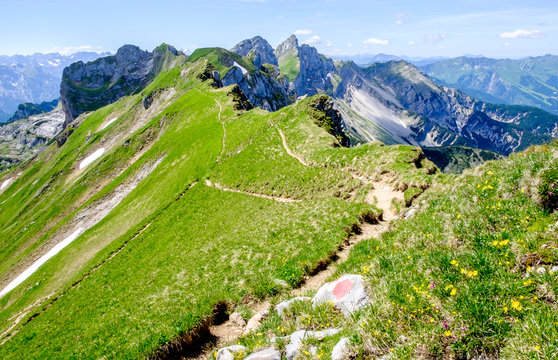 รูปภาพHochiss – เลือกดูภาพถ่ายสต็อก เวกเตอร์ และวิดีโอ298 | Adobe Stock