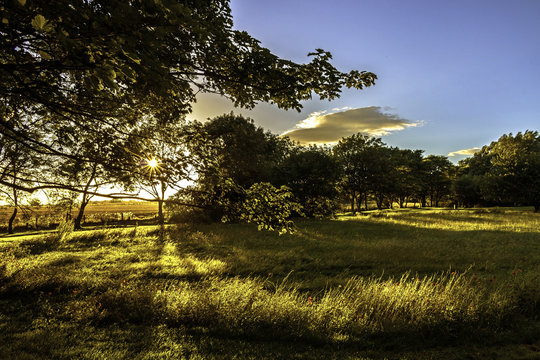 "Light Through Trees" Images – Browse 113 Stock Photos, Vectors, and ...