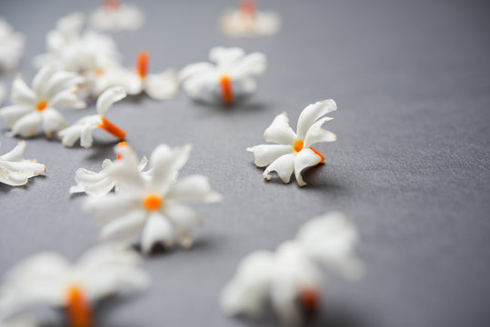 Shiuli Flower Png Clipart