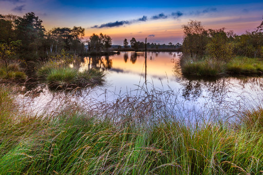 Schneverdingen Images – Browse 12 Stock Photos, Vectors, and Video ...