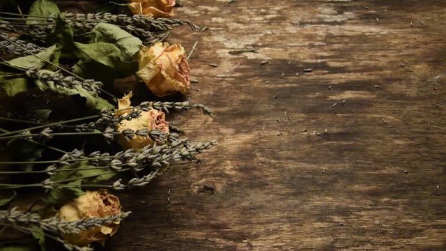 Alhucema Imagens – Procure 102 fotos, vetores e vídeos | Adobe Stock