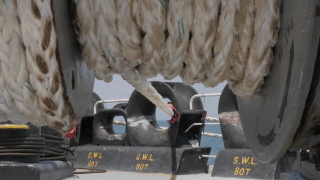 รูปภาพHawse – เลือกดูภาพถ่ายสต็อก เวกเตอร์ และวิดีโอ285 | Adobe Stock