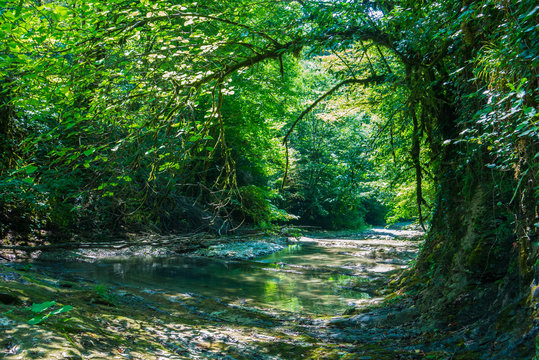 Clearstream Images – Browse 45 Stock Photos, Vectors, and Video | Adobe ...