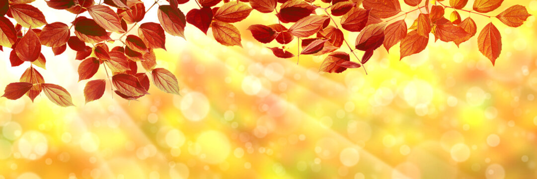 131 Bilder – Durchsuchen 1,531 Archivfotos, Vektorgrafiken und Videos ...